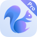 SquirrelVPN (App Store):